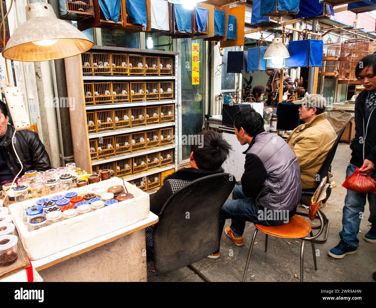 Insect market shanghai hi-res stock photography and images - Alamy