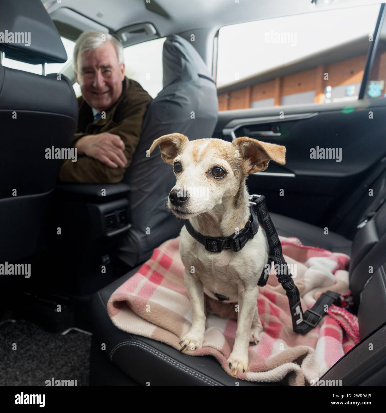 13/11/2023 The Yorkshire Vet, Peter Wright, with 11-year-old Jack ...