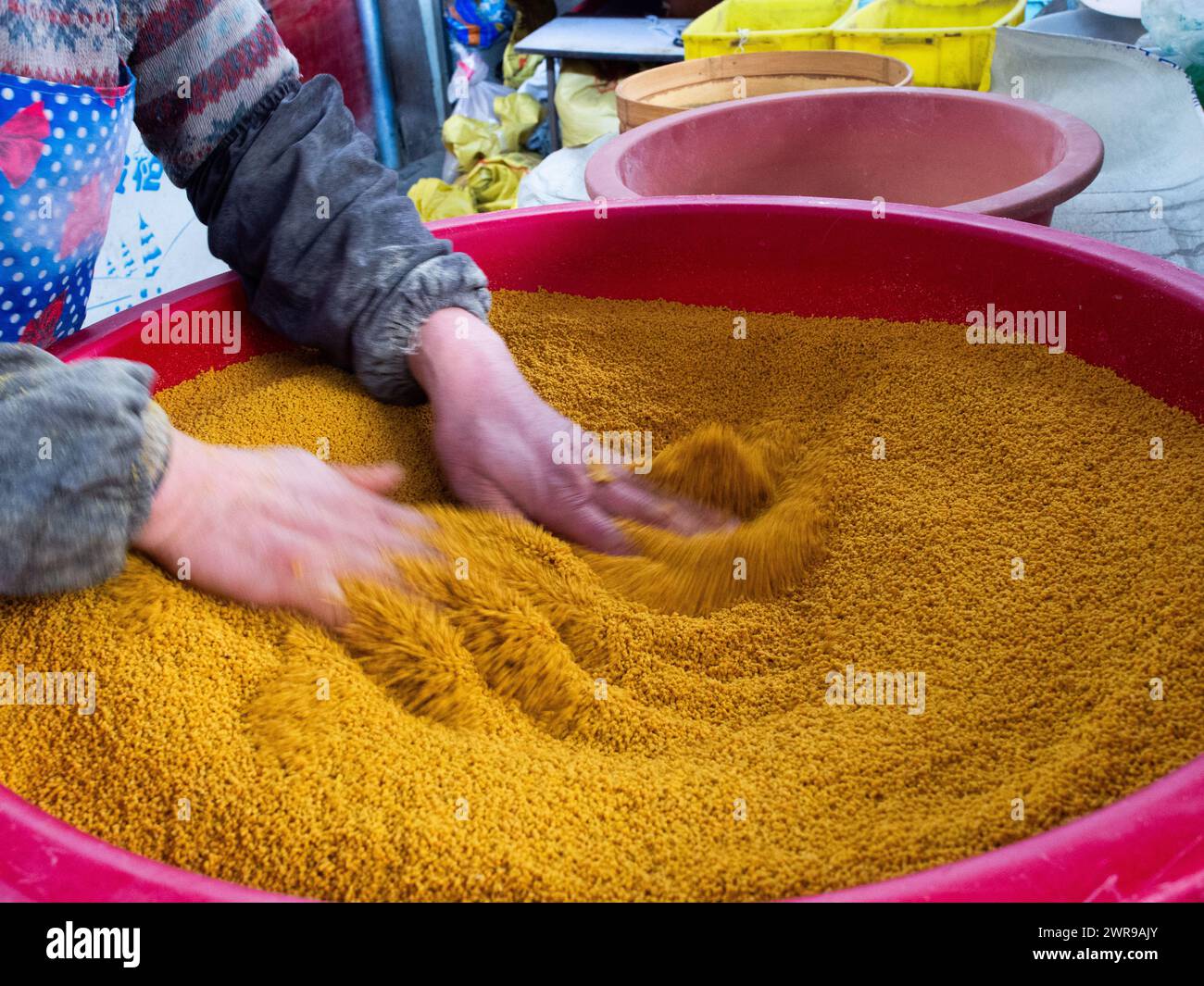 Flower, Bird, Fish & Insect Market, Shanghai, China Stock Photo - Alamy