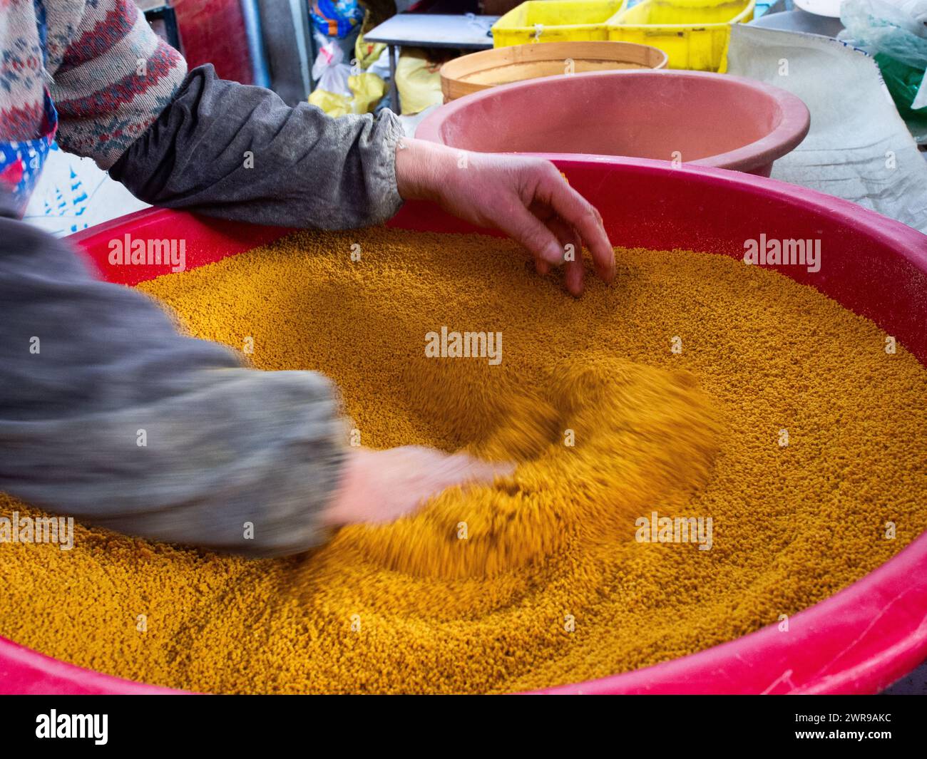 Bird insect market shanghai china hi-res stock photography and images ...
