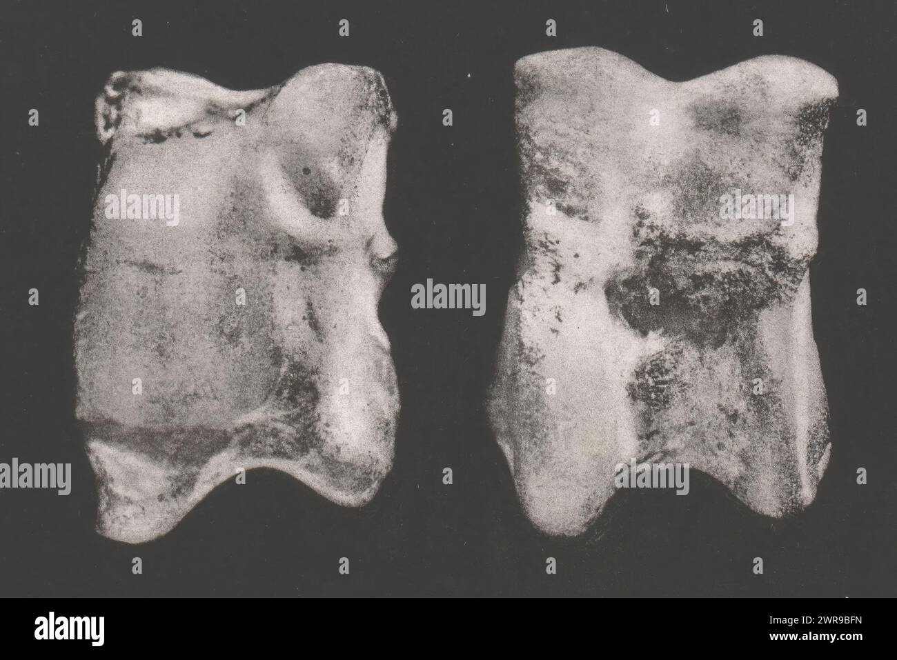 Two hocks hi-res stock photography and images - Alamy