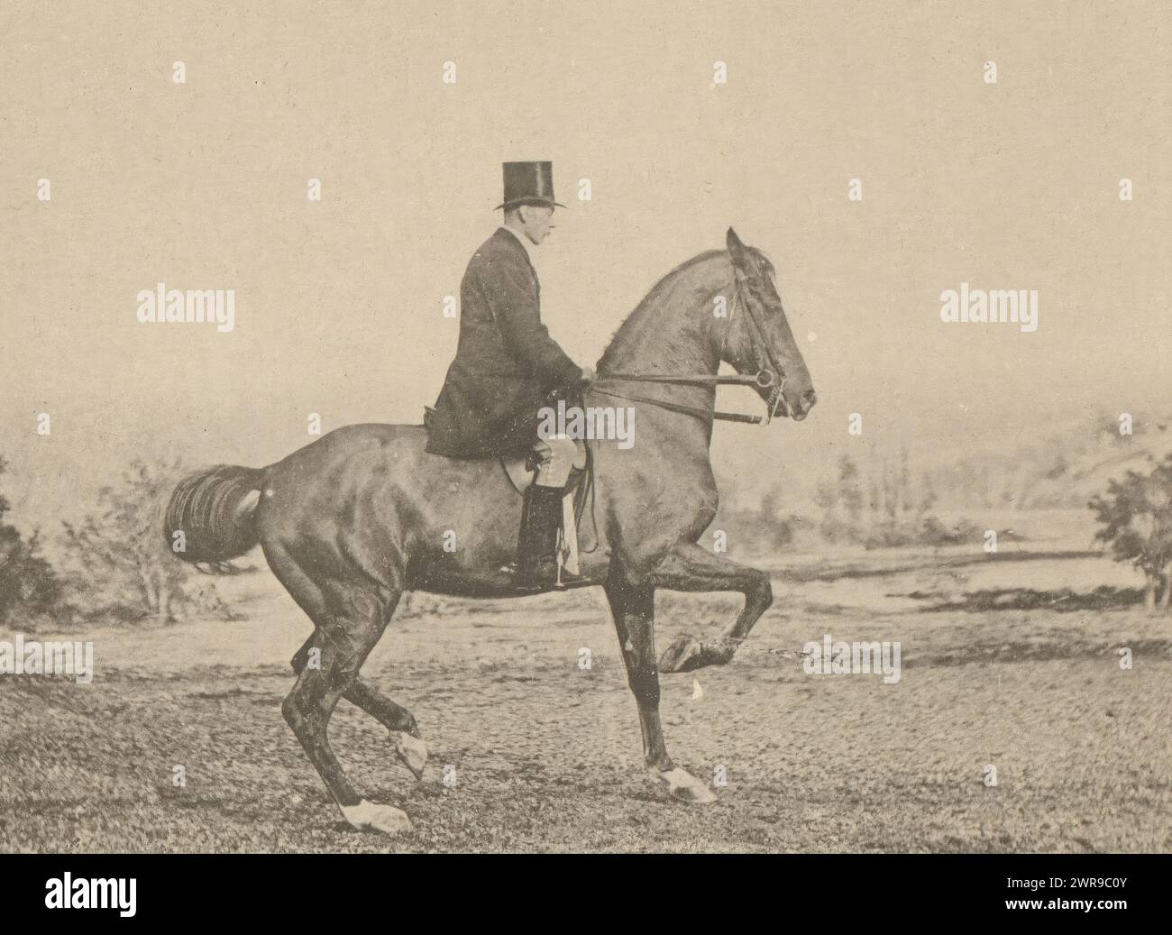 1882 in hi-res stock photography and images - Alamy
