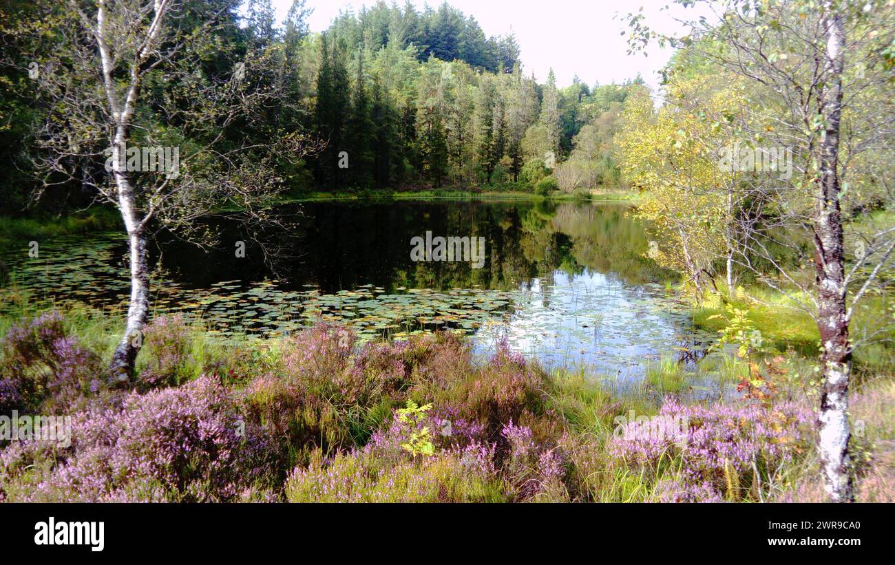 Lochnan na Dunaich, by the coastal village of Salen on the Ardnamurchan ...