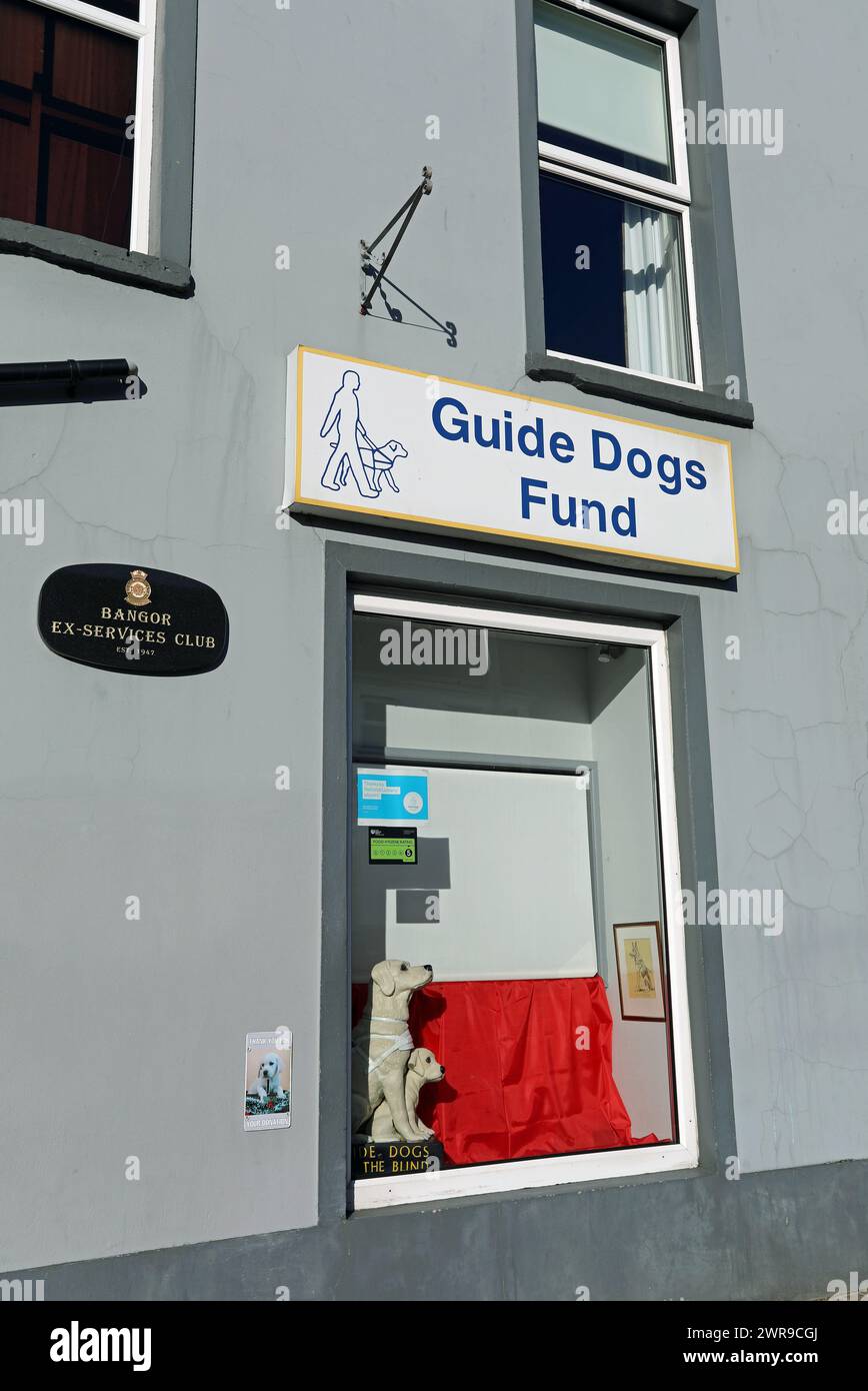 Charity guide dogs hi-res stock photography and images - Alamy