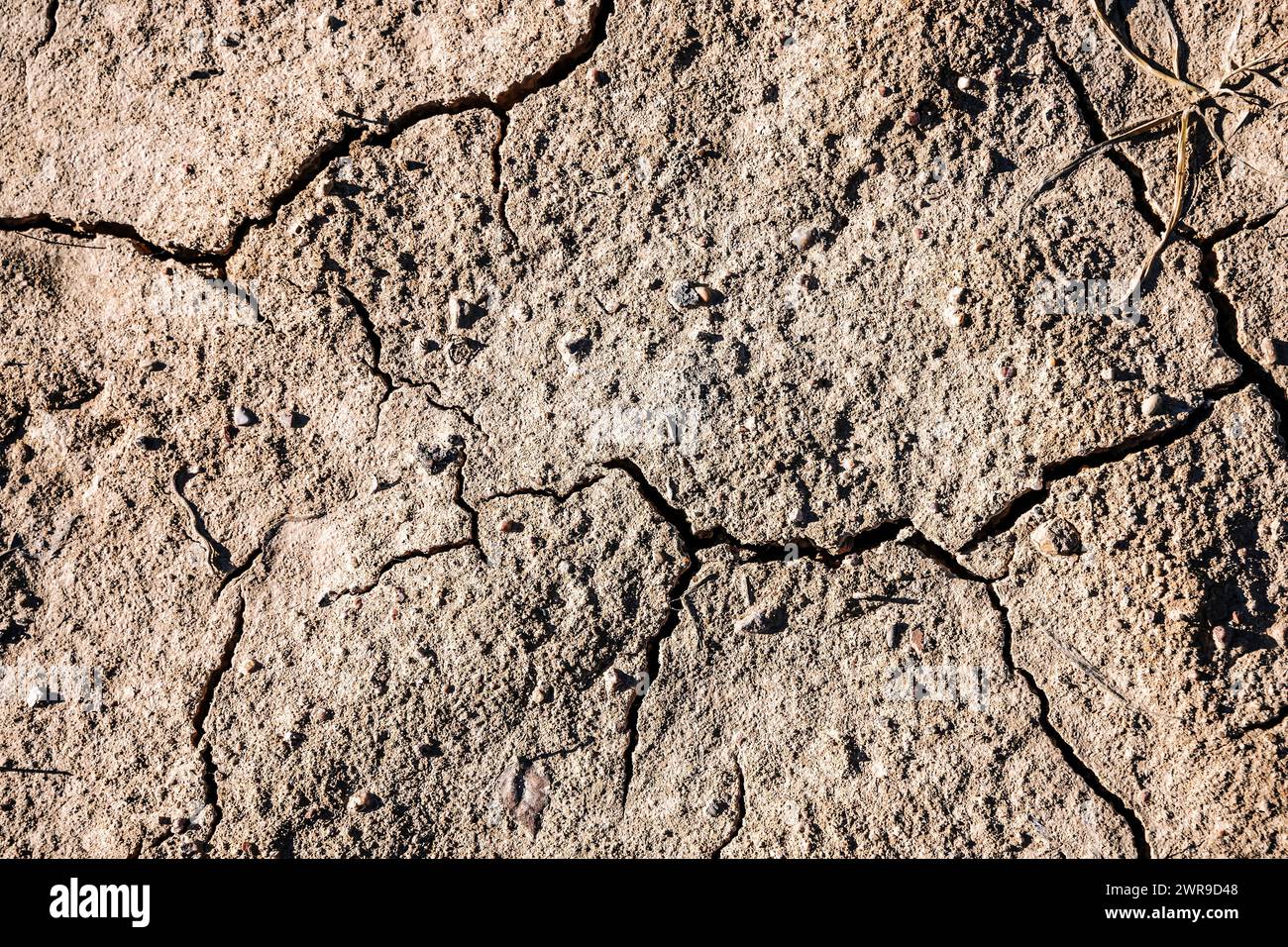Dry soil background. Texture of dry land in drought and hot weather ...