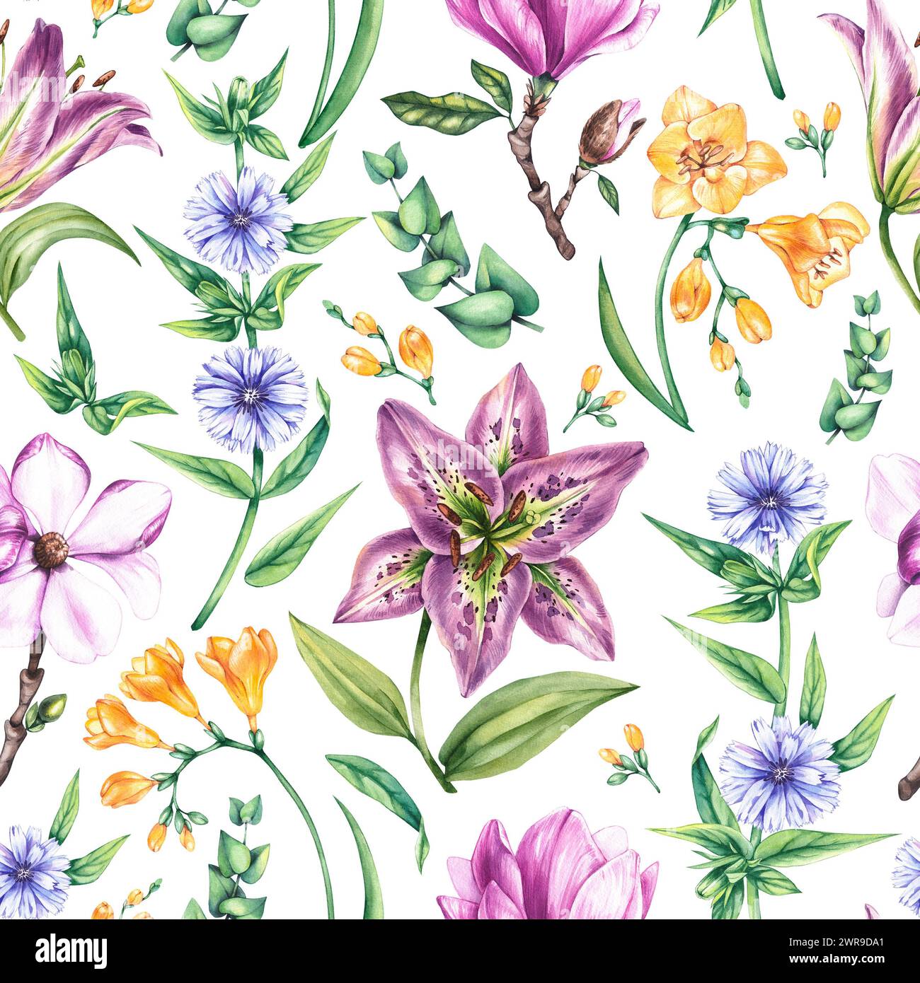 Magnolia botanical illustration pattern hi-res stock photography and ...