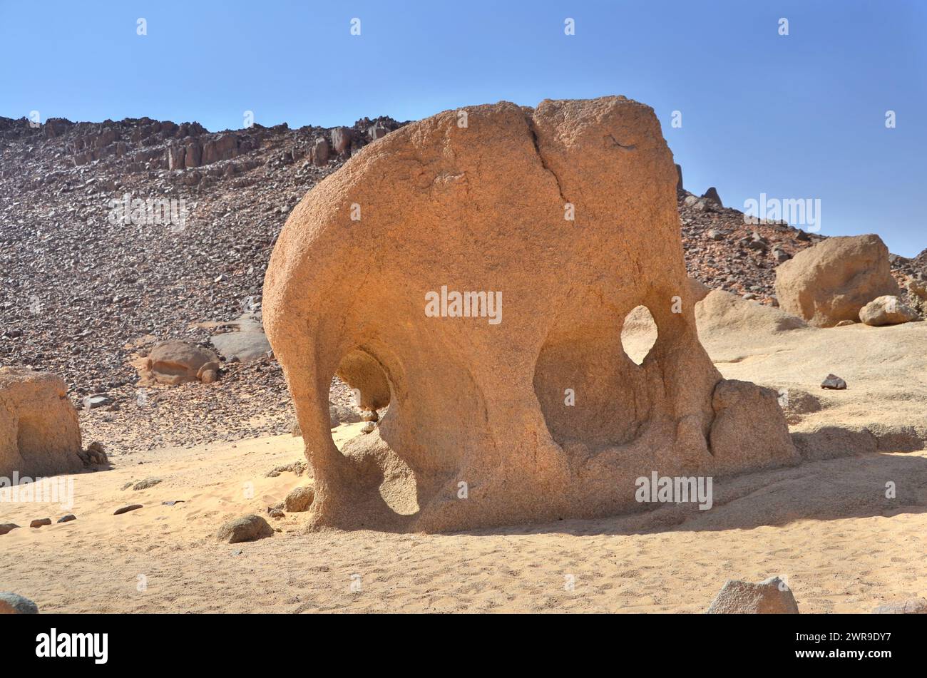 Erodible rock formations in shape of an elephant in the Sahara Desert ...
