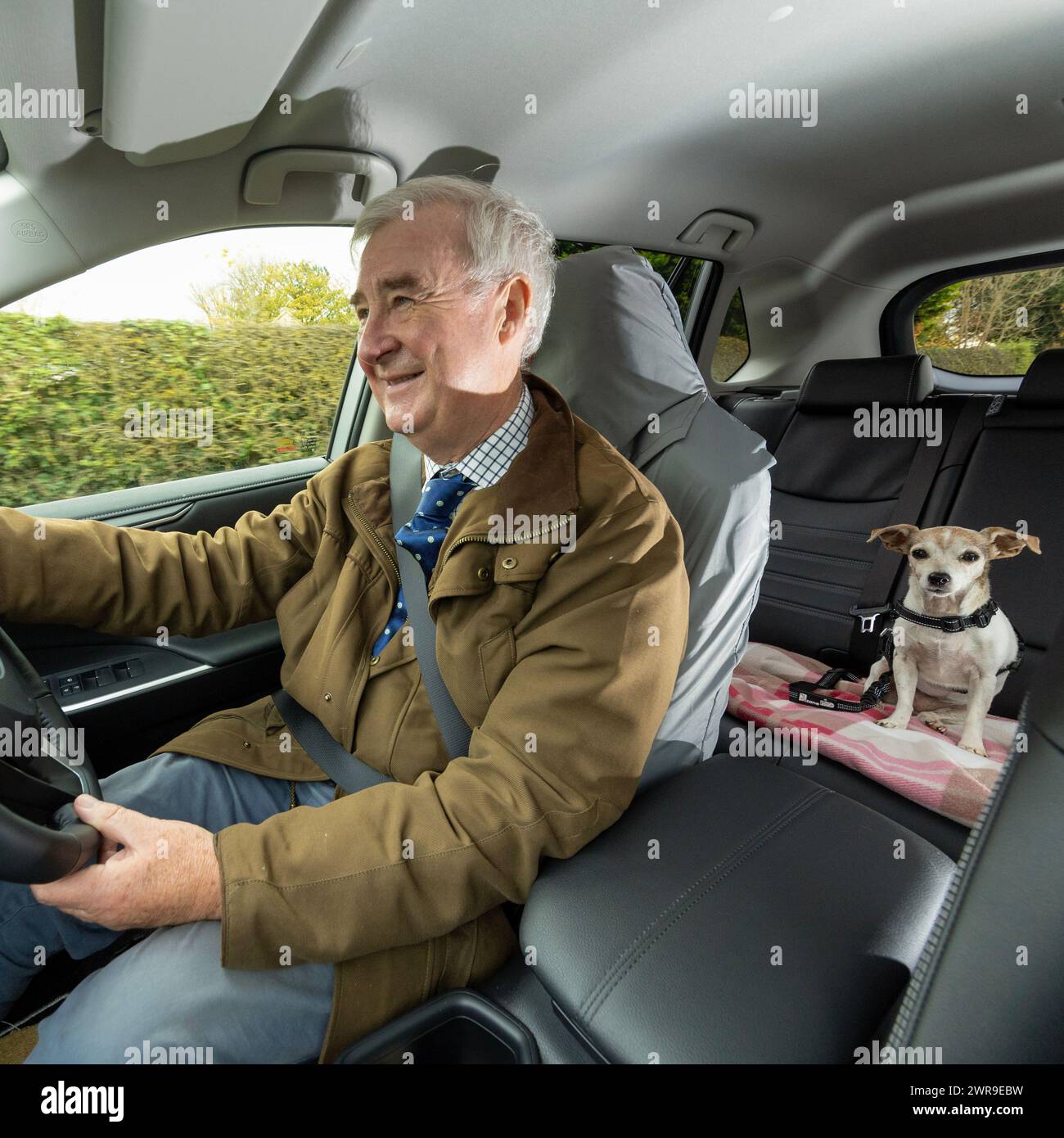 Peter kirkpatrick hi-res stock photography and images - Alamy