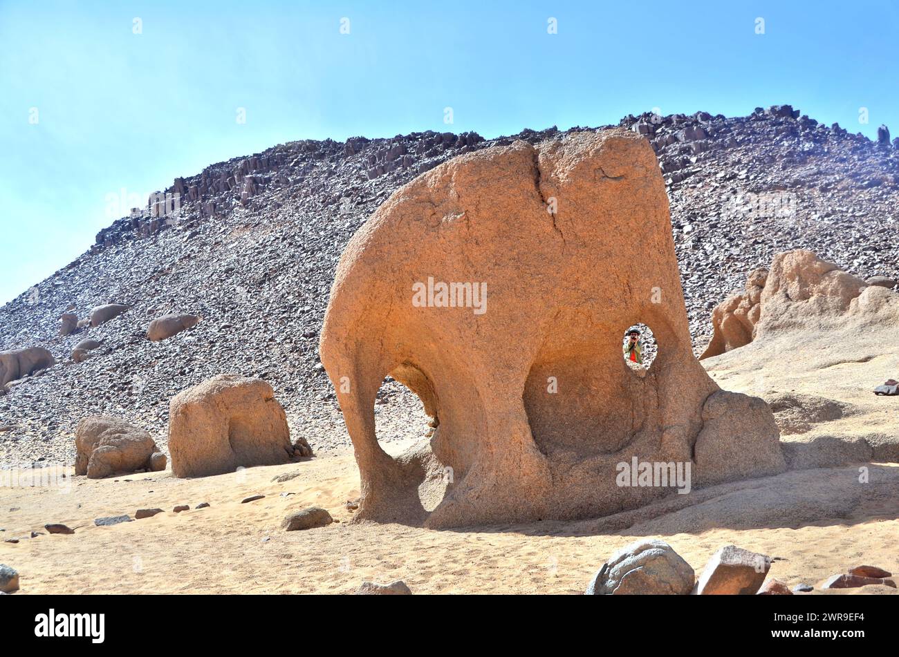 Erodible rock formations in shape of an elephant in the Sahara Desert ...