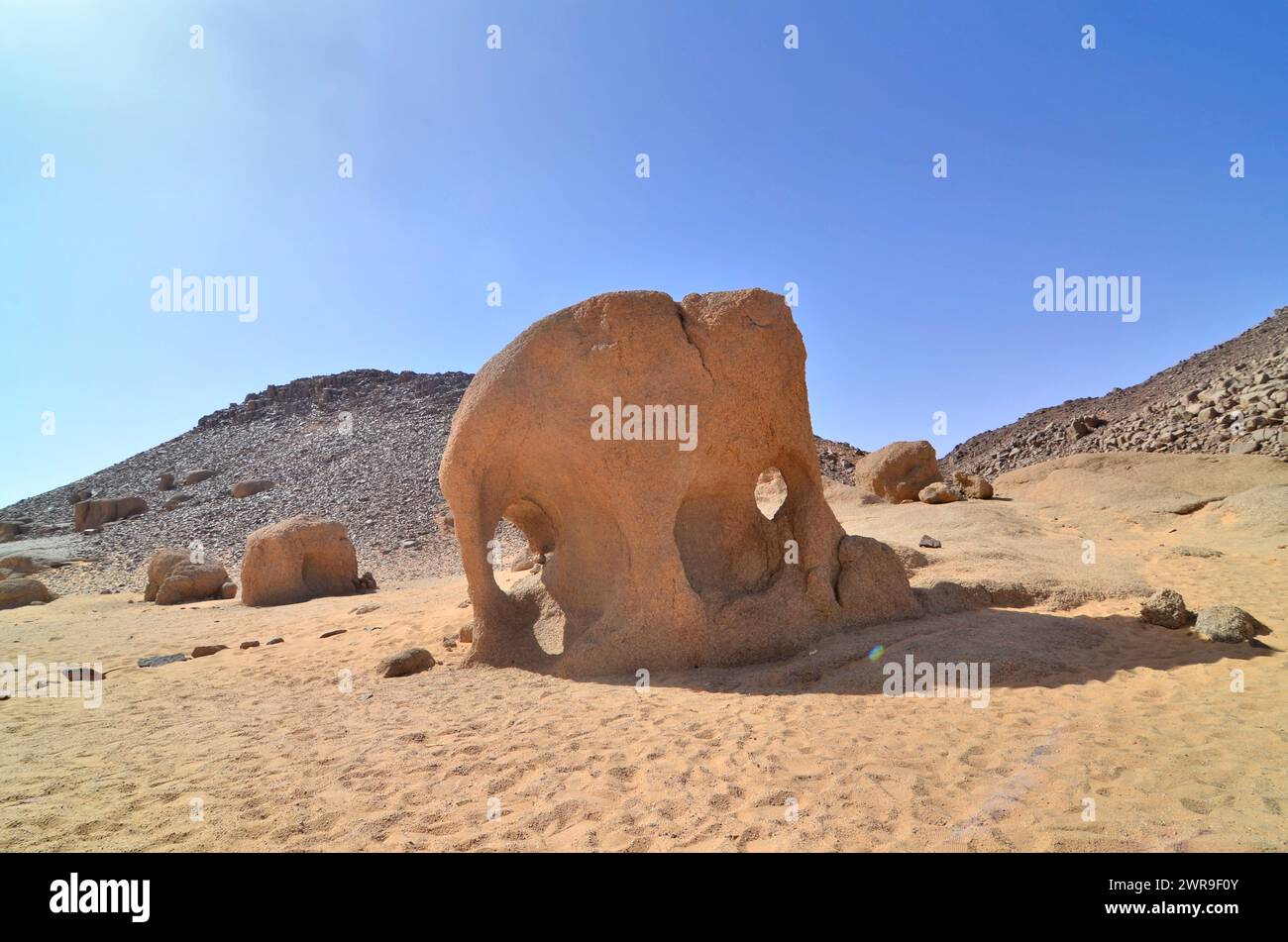 Erodible rock formations in shape of an elephant in the Sahara Desert ...