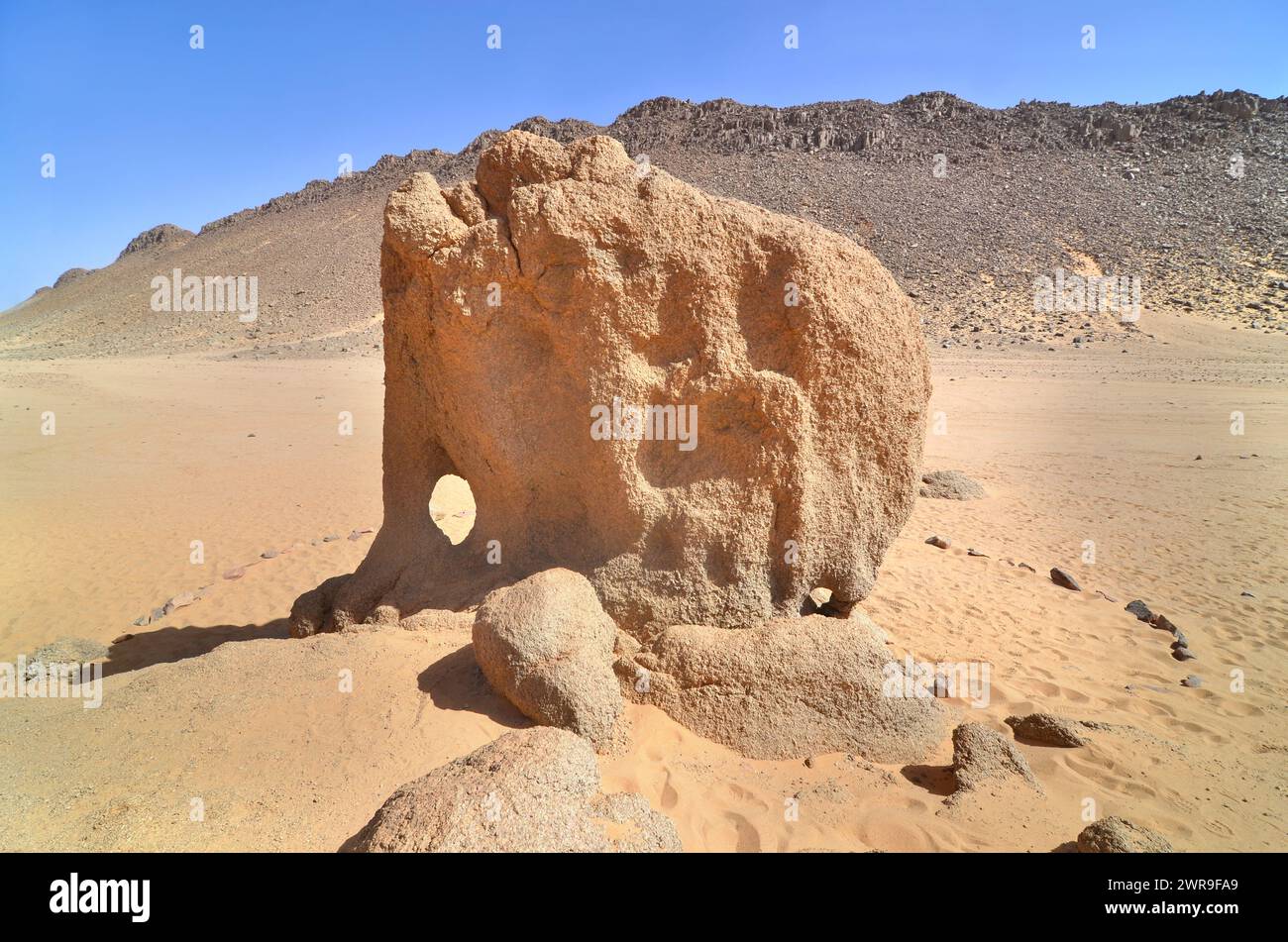 Erodible rock formations in shape of an elephant in the Sahara Desert ...