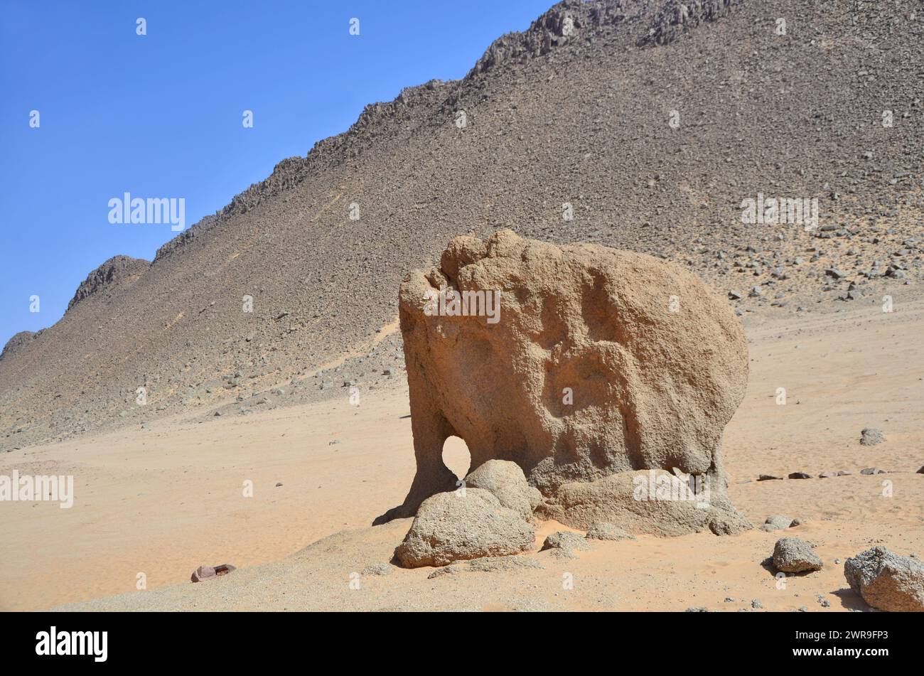 Erodible rock formations in shape of an elephant in the Sahara Desert ...