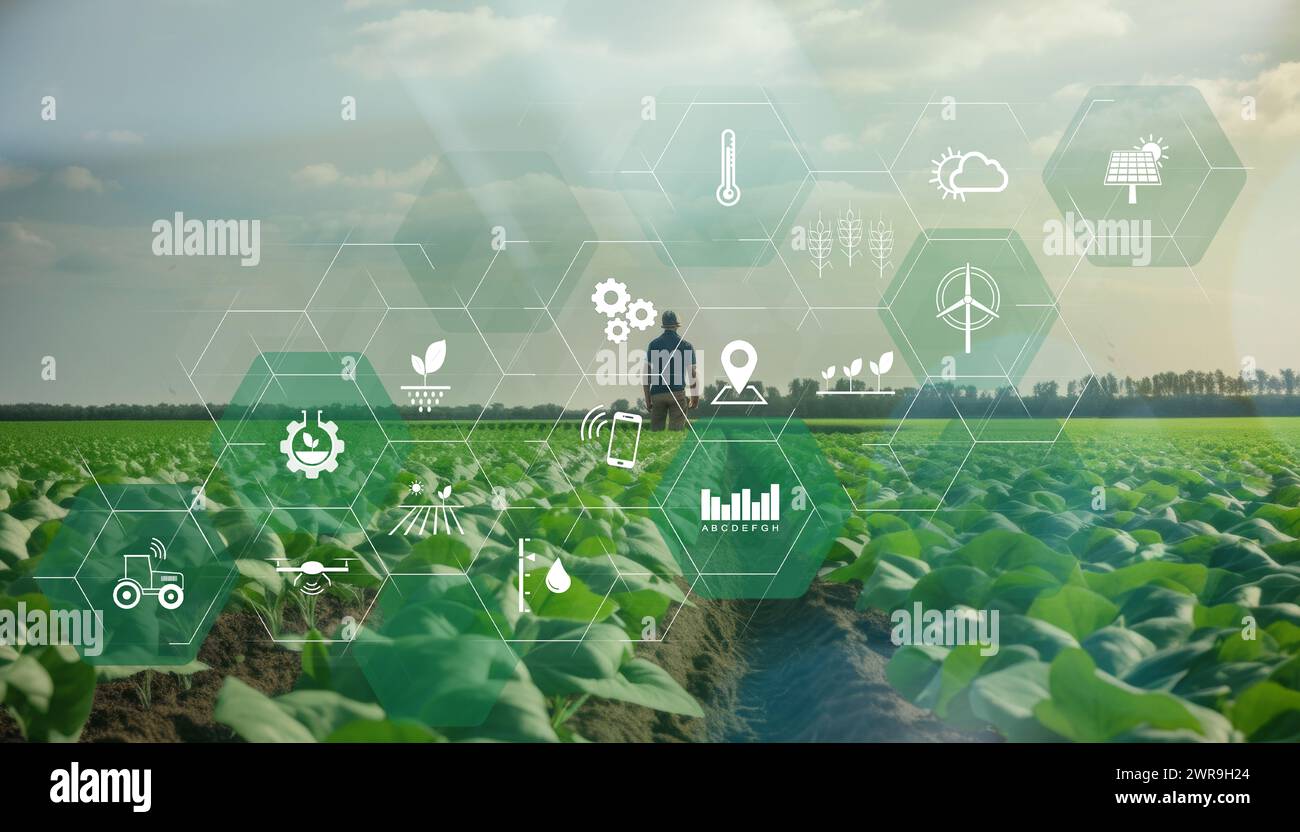 Environmental impact of ai hi-res stock photography and images - Alamy