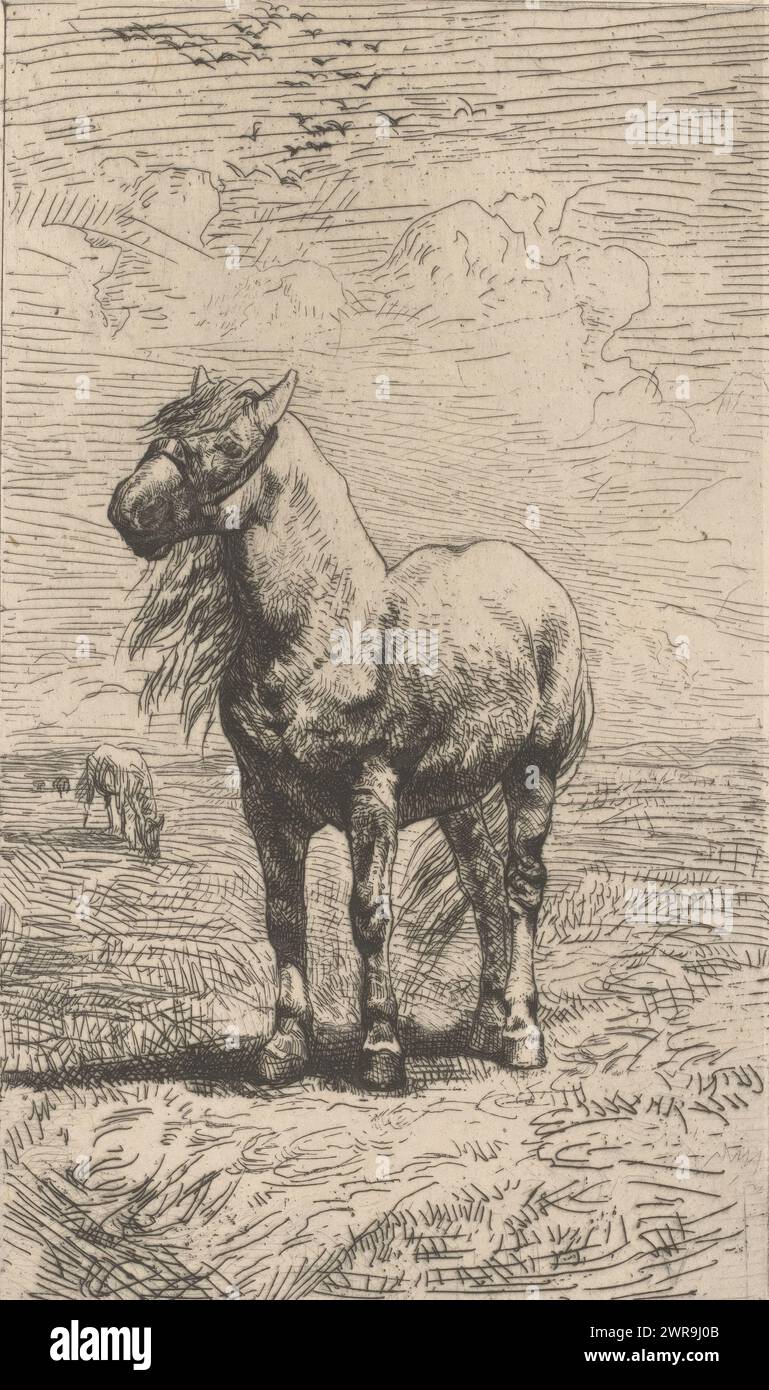 Horse with halter in a landscape, print maker: Alfred Verwee, printer ...