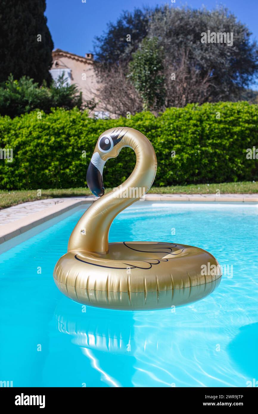 Gold inflatable flamingo float on blue water in the swimming pool with ...