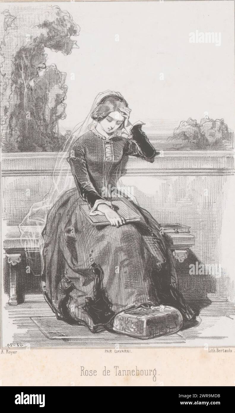 Rose de tannebourg hi-res stock photography and images - Alamy