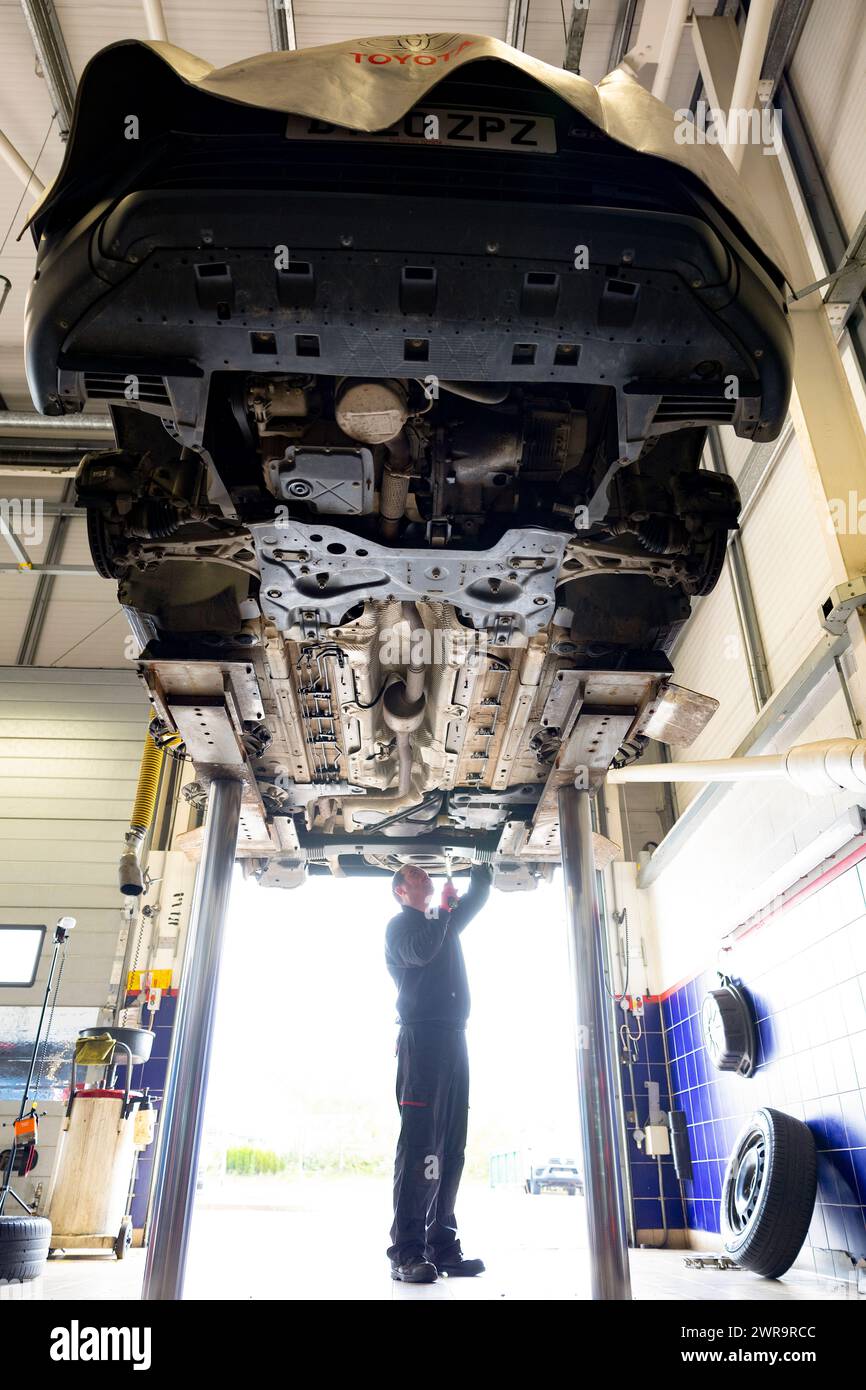 Body inspection hi-res stock photography and images - Alamy