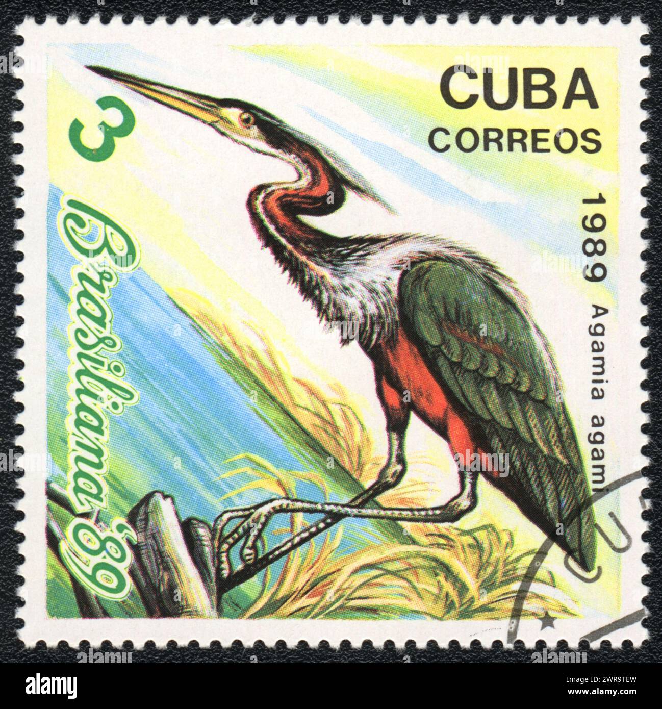 Cuba stamp circa bird hi-res stock photography and images - Alamy