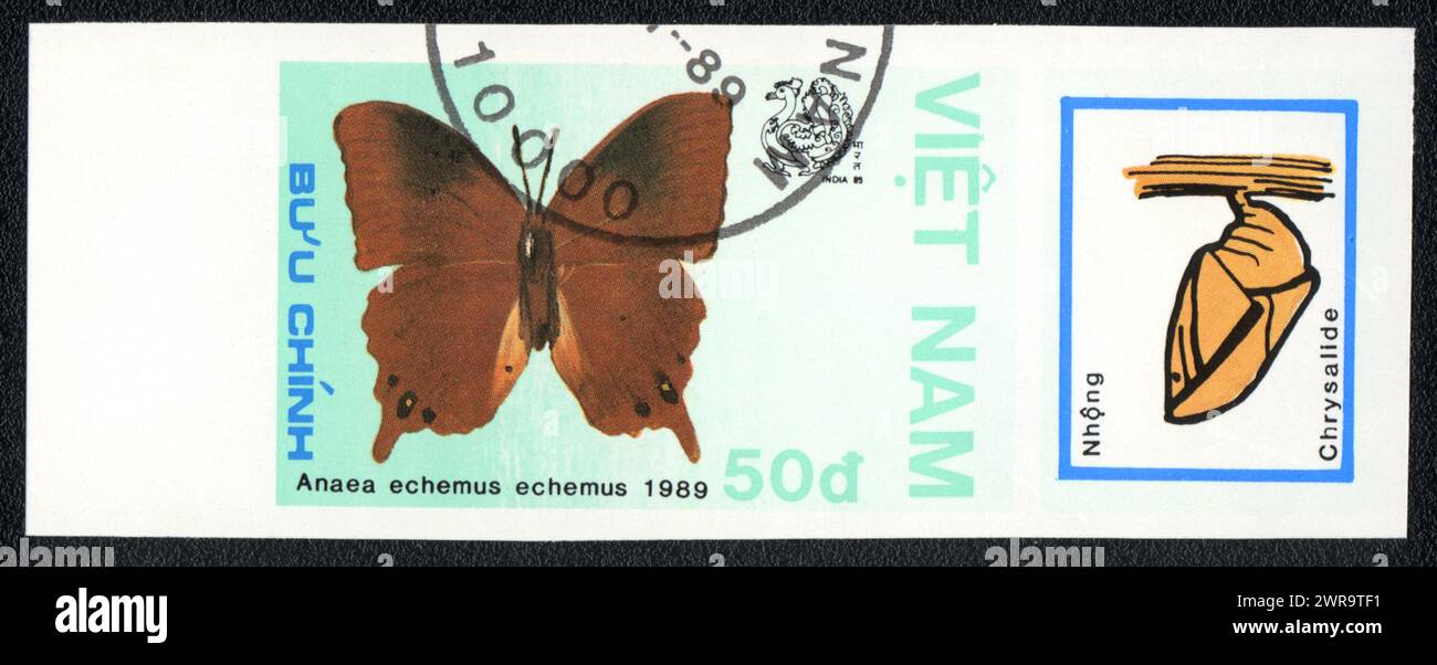 Echemus hi-res stock photography and images - Alamy