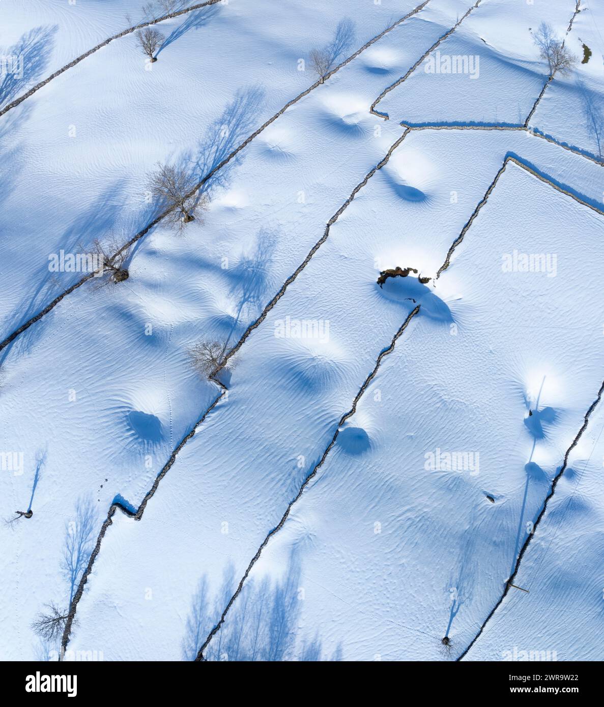Winter landscape covered in snow in the surroundings of Guarguero ...