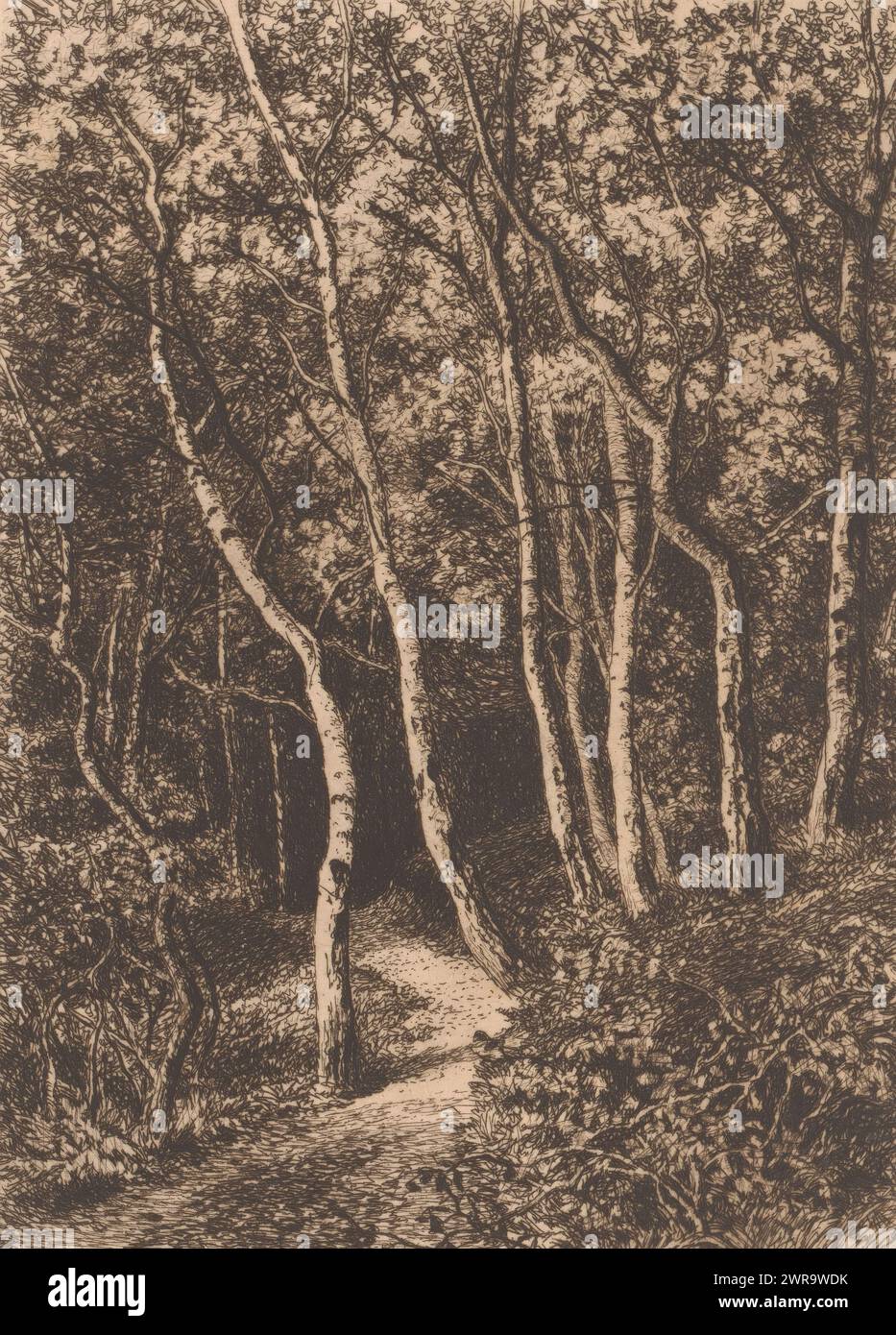 Forest view with forest path, print maker: Alfred Elsen, 1860 - 1910 ...