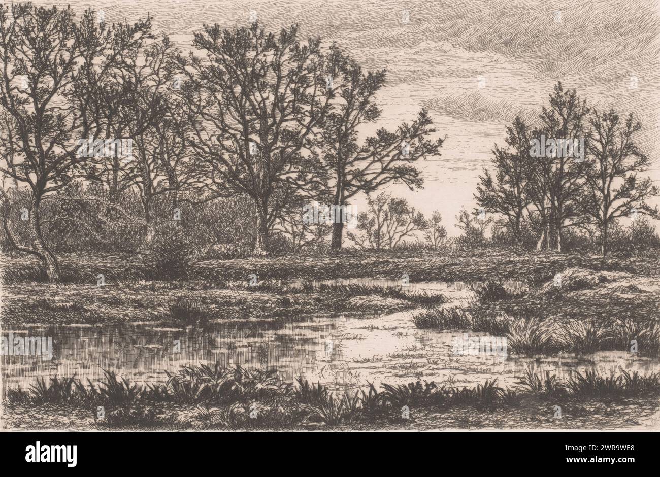 Swamp landscape with trees, print maker: Alfred Elsen, (signed by ...