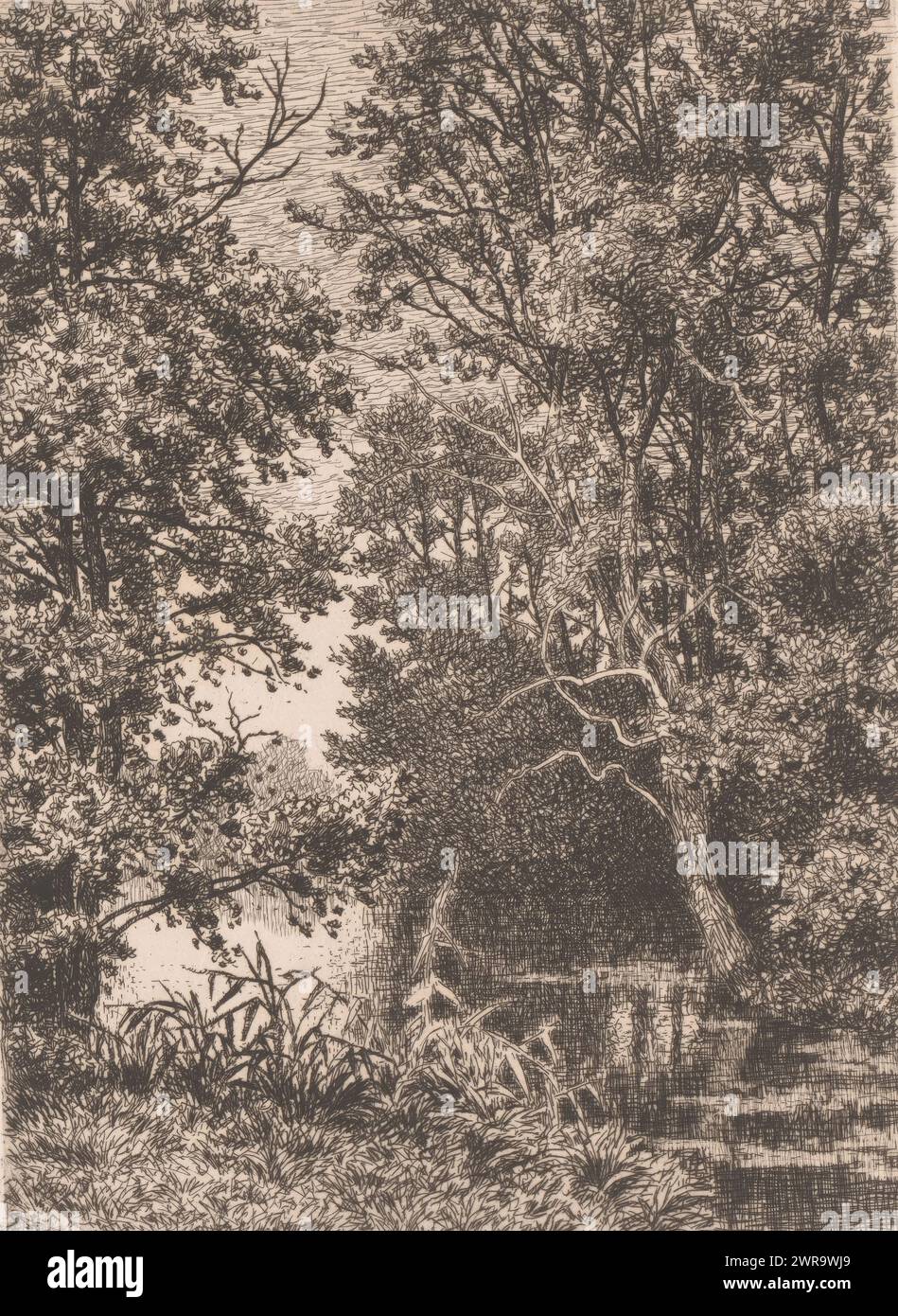 Afforestation around a lake, print maker: Alfred Elsen, (signed by ...