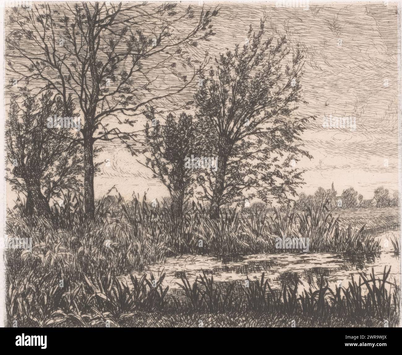 Four willows hi-res stock photography and images - Alamy