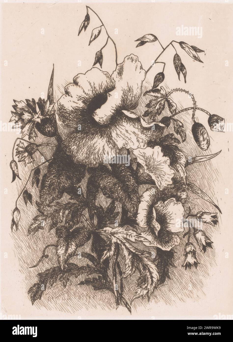 Flower still life with poppies, including three poppies in the middle ...