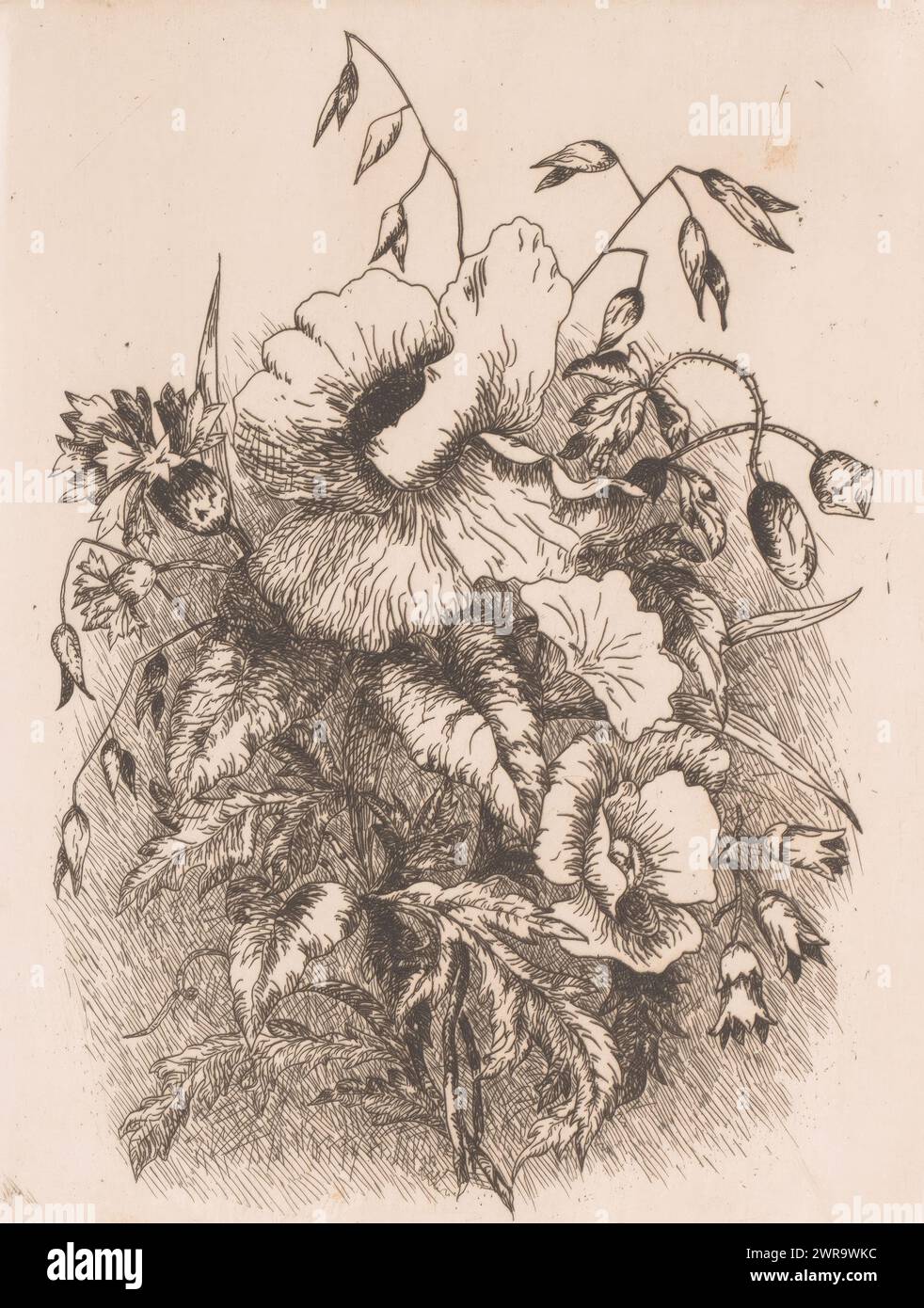 Flower still life with poppies, including three poppies in the middle ...