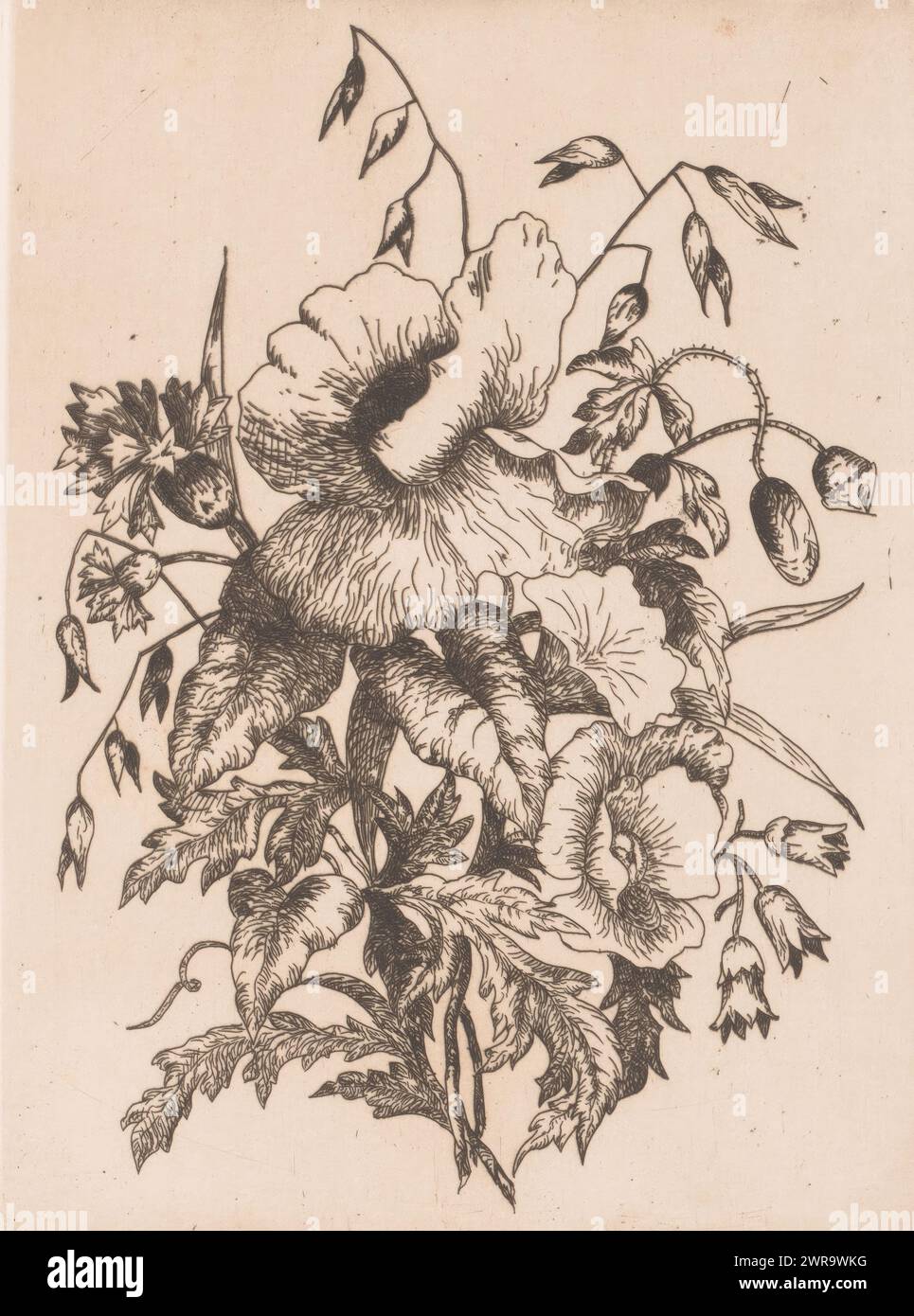 Flower still life with poppies, including three poppies in the middle ...