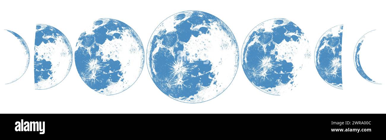 The Phases Of The Moon Are Shown In Blue On A White Background Stock ...