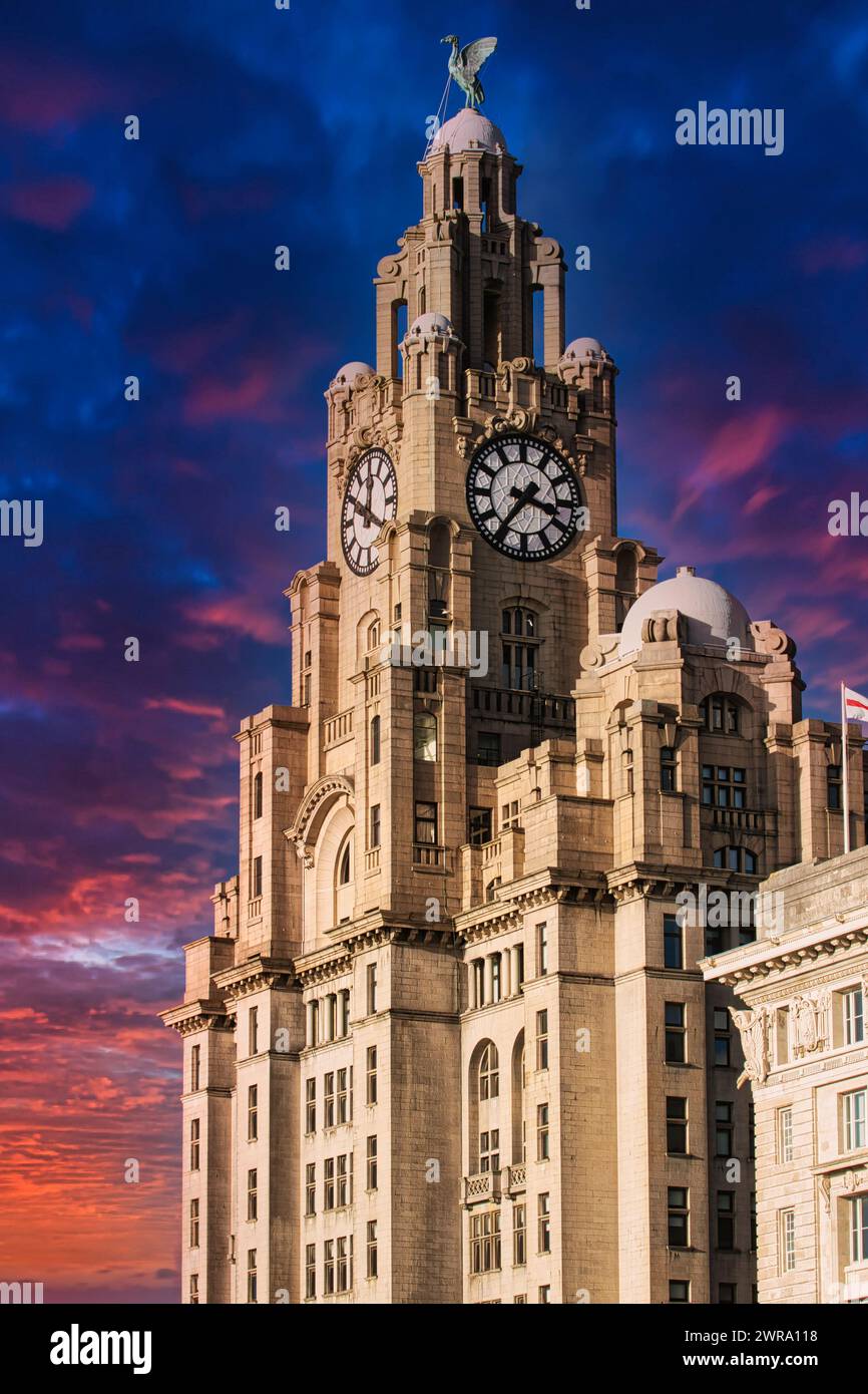 Liver colours hi-res stock photography and images - Alamy