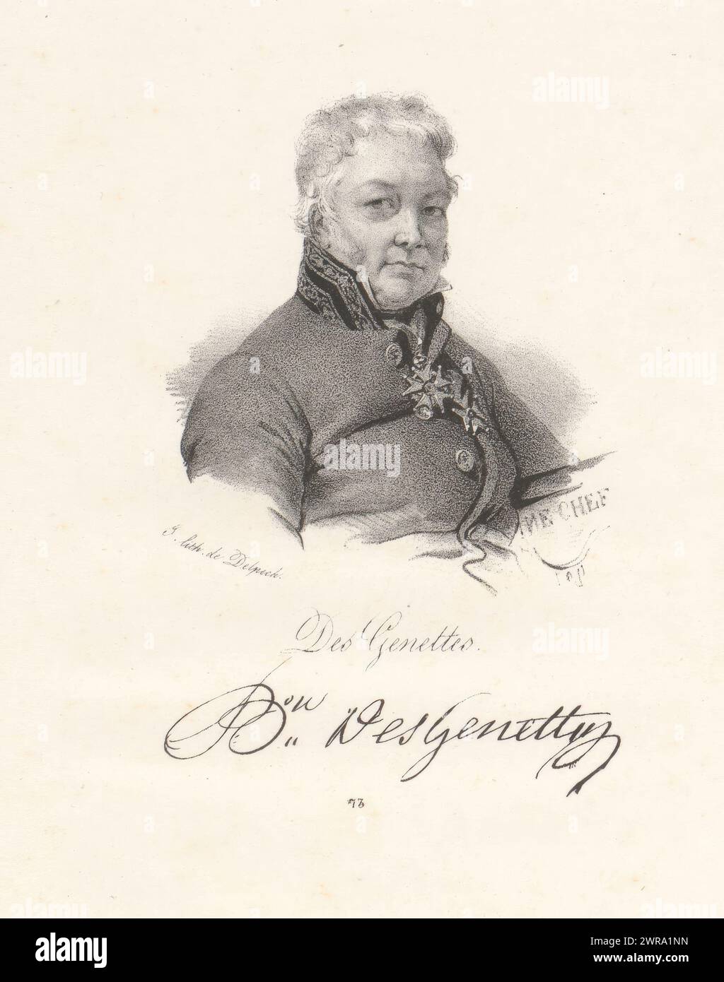 Des genettes hi-res stock photography and images - Alamy