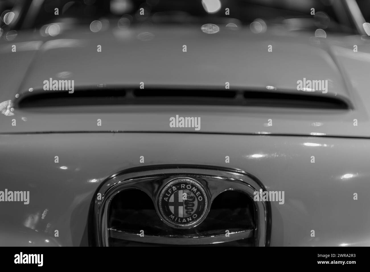 Sparkford.Somerset.United Kingdom.January 7th 2024.Close up of the ...