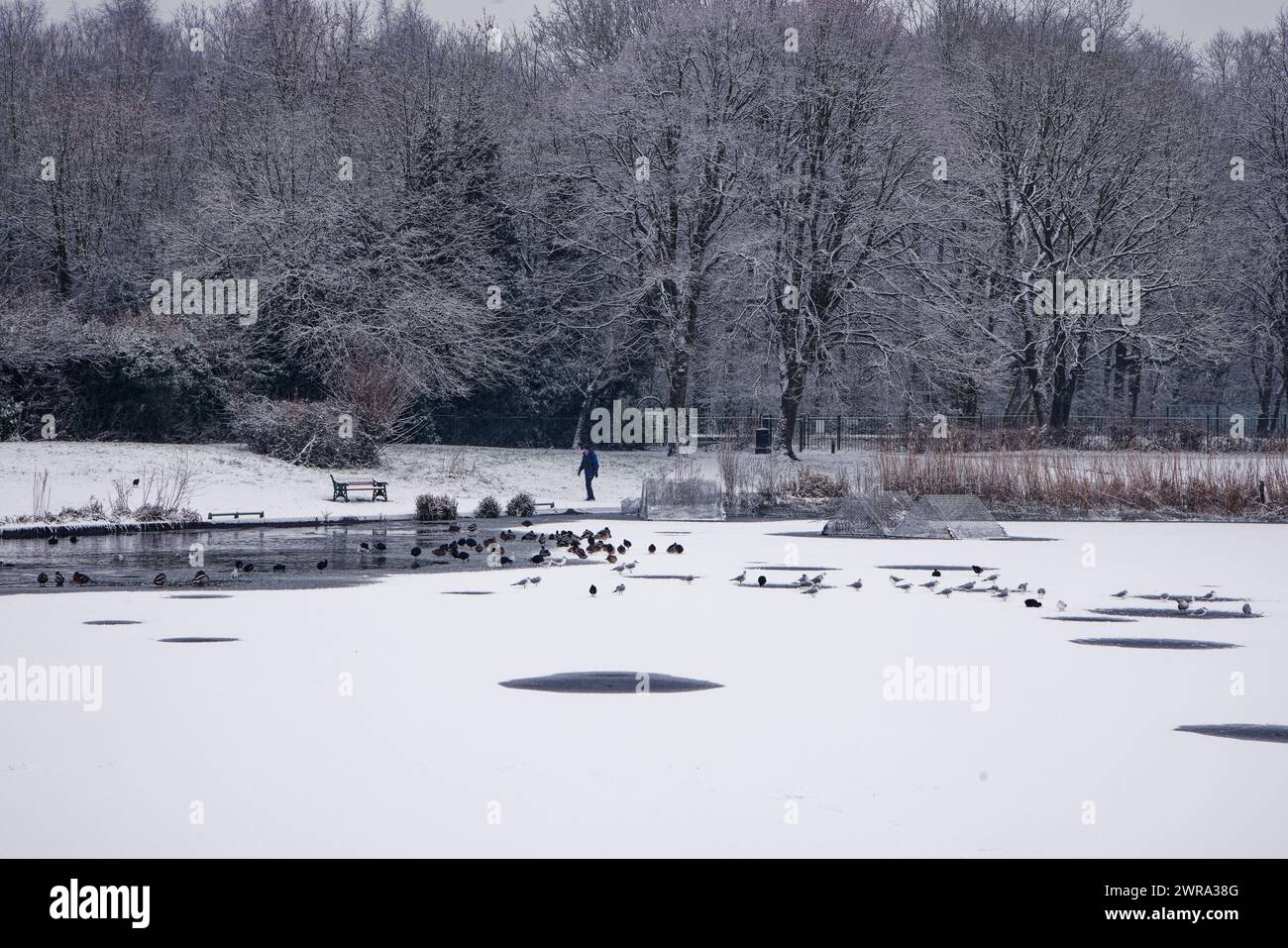 Winter scenes in public park hi-res stock photography and images - Alamy