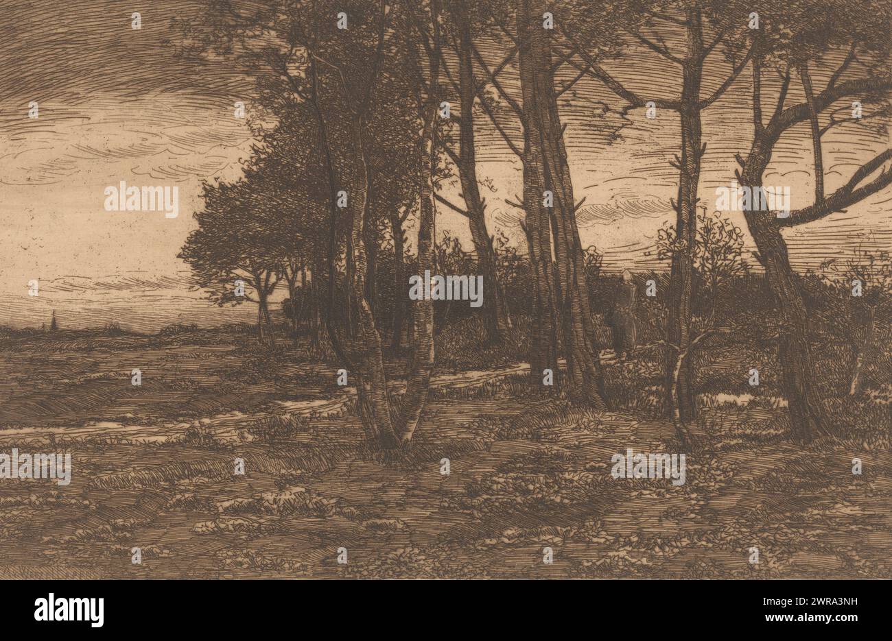 Landscape with trees, Evening (title on object), print maker: Adolphe P ...