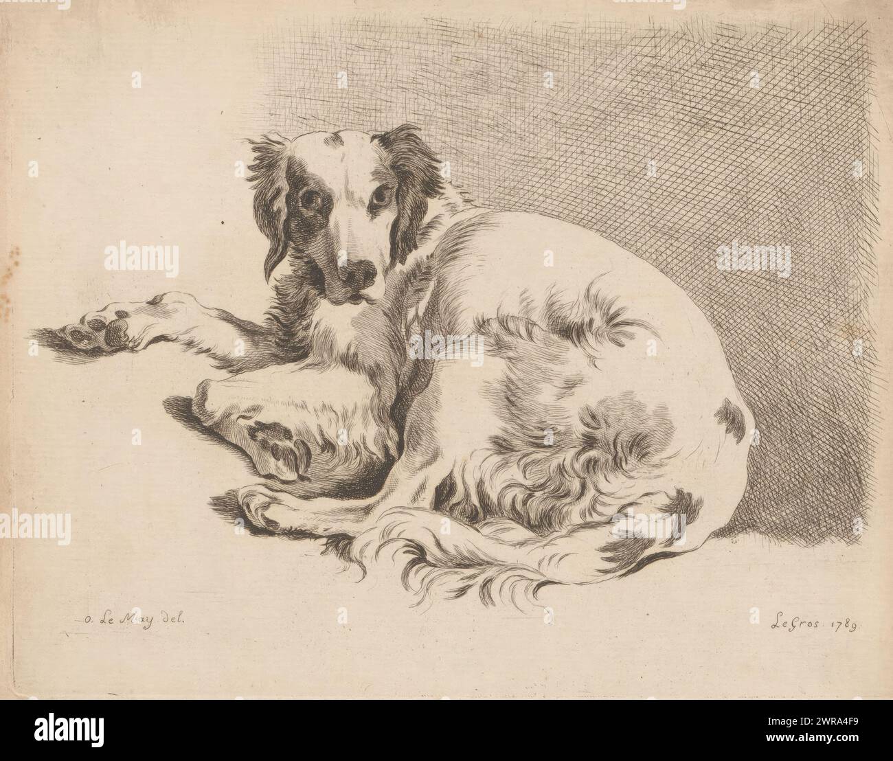 Lemay hi-res stock photography and images - Alamy