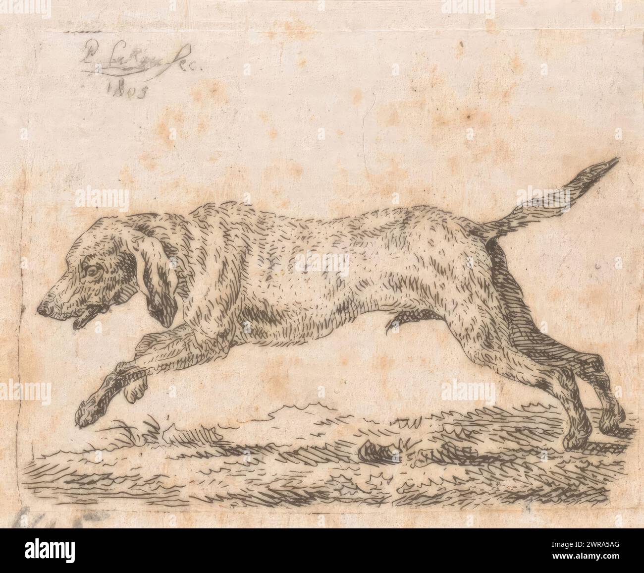 Pierre jean baptiste leroy hi-res stock photography and images - Alamy