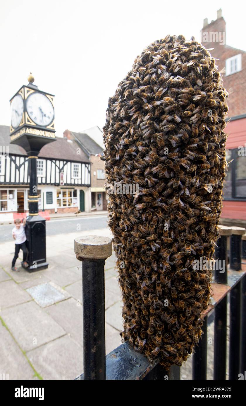 Finn mcleod hi-res stock photography and images - Alamy