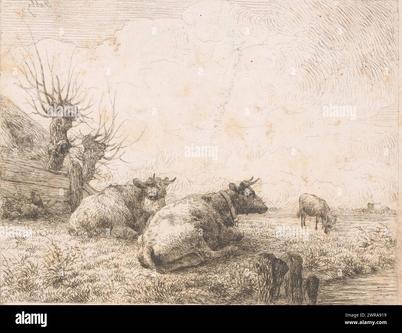 Height 160 mm width 140 mm hi-res stock photography and images - Alamy