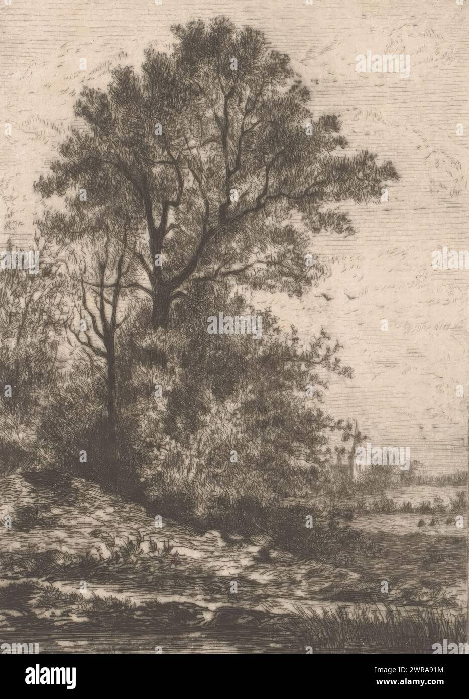 Hilly landscape with a tall tree and a church in the background, print ...