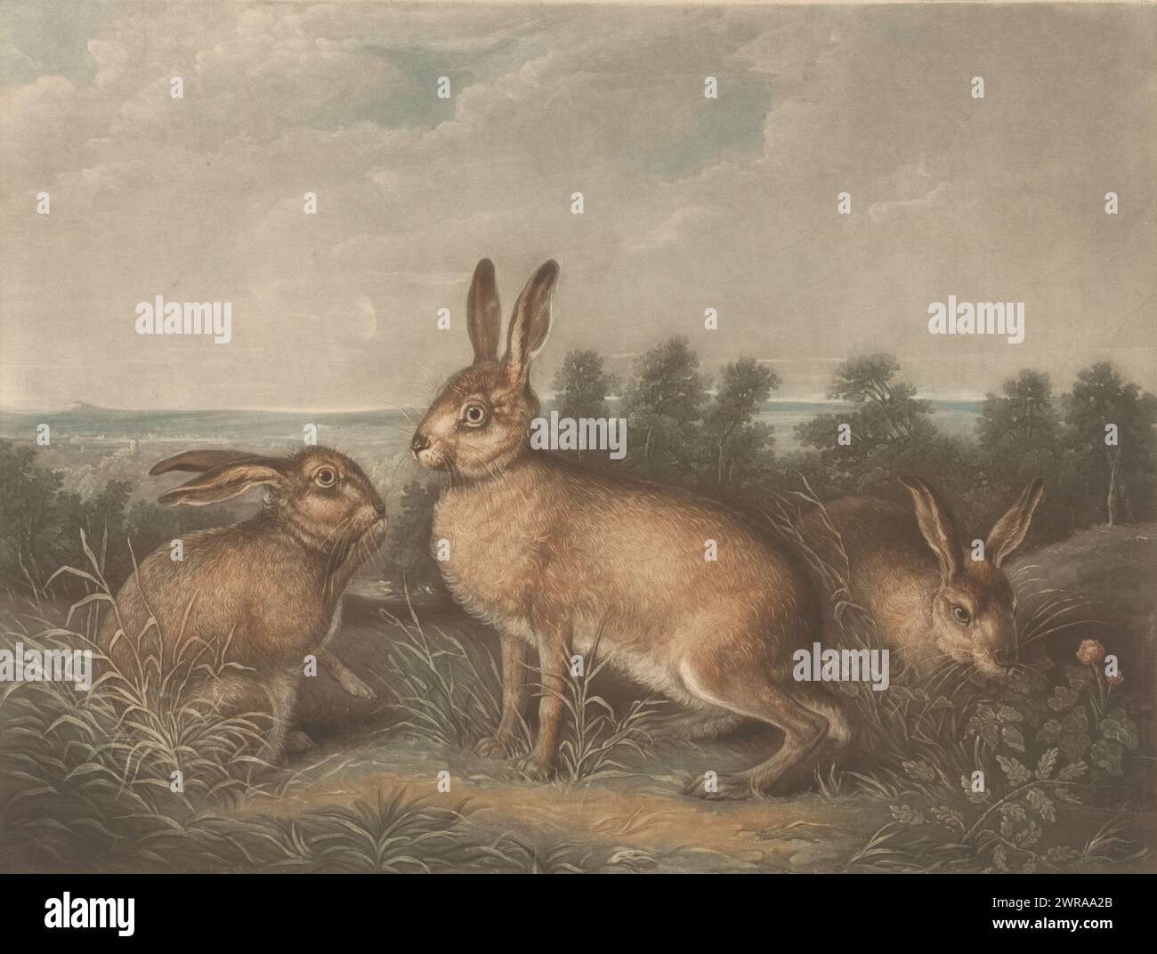 Three hares, Hares (title on object), print maker: Charles Turner ...
