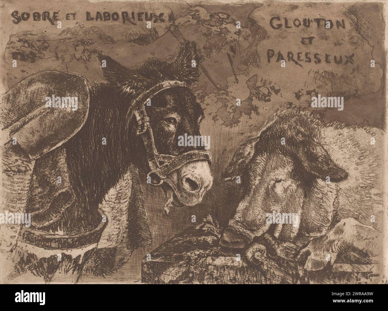 Sobre et laborieux hi-res stock photography and images - Alamy