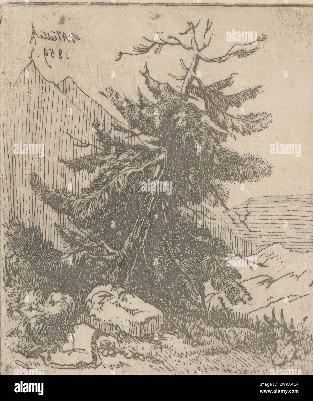 54 mm width hi-res stock photography and images - Alamy