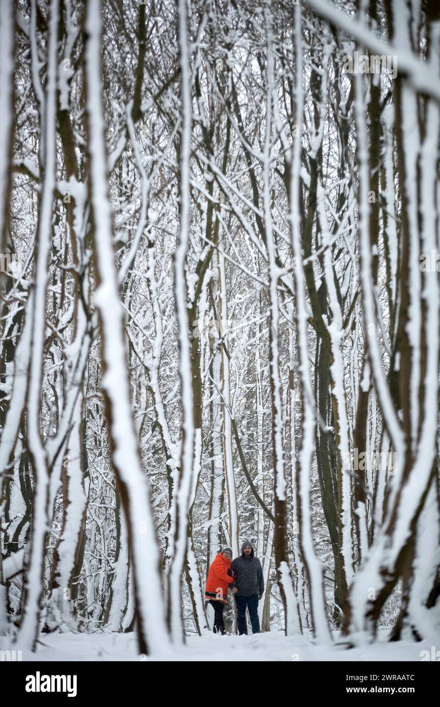 24/01/21 Beverley Fletcher and James Hall wander through woodland where the prevailing wind has ...