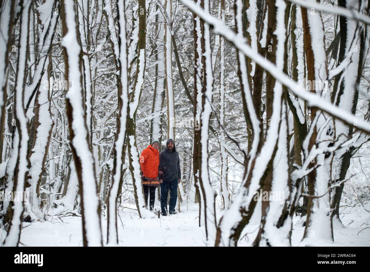 24/01/21 Beverley Fletcher and James Hall wander through woodland where the prevailing wind has ...