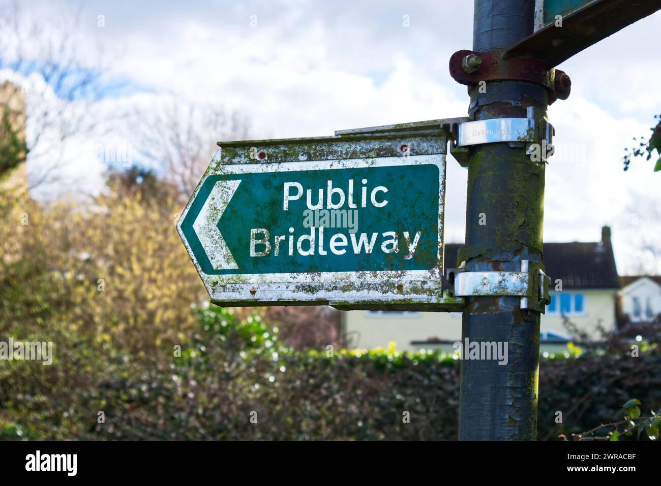 Equestrians horse hi-res stock photography and images - Alamy