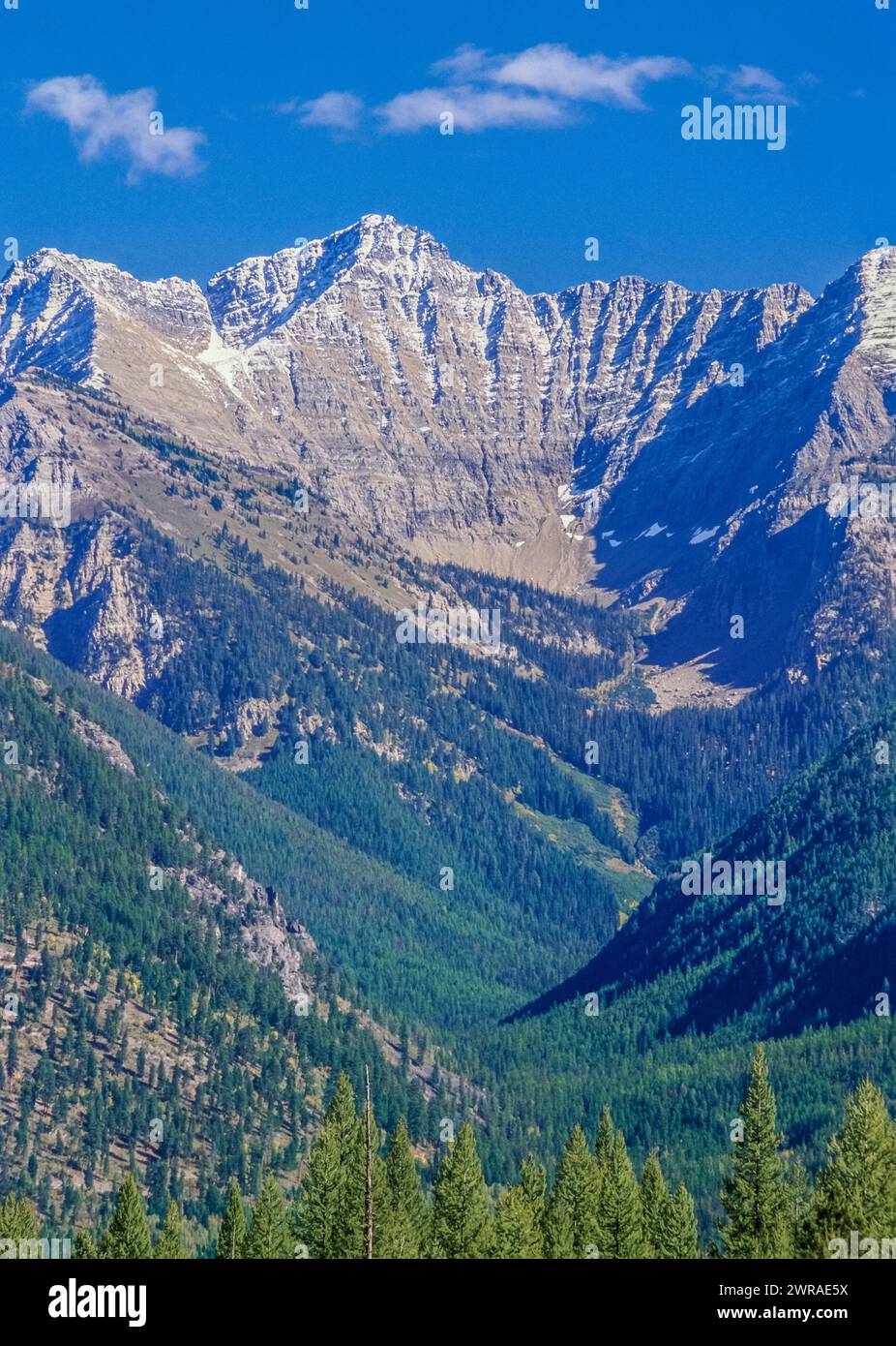 swan peak in the swan range near condon, montana Stock Photo - Alamy