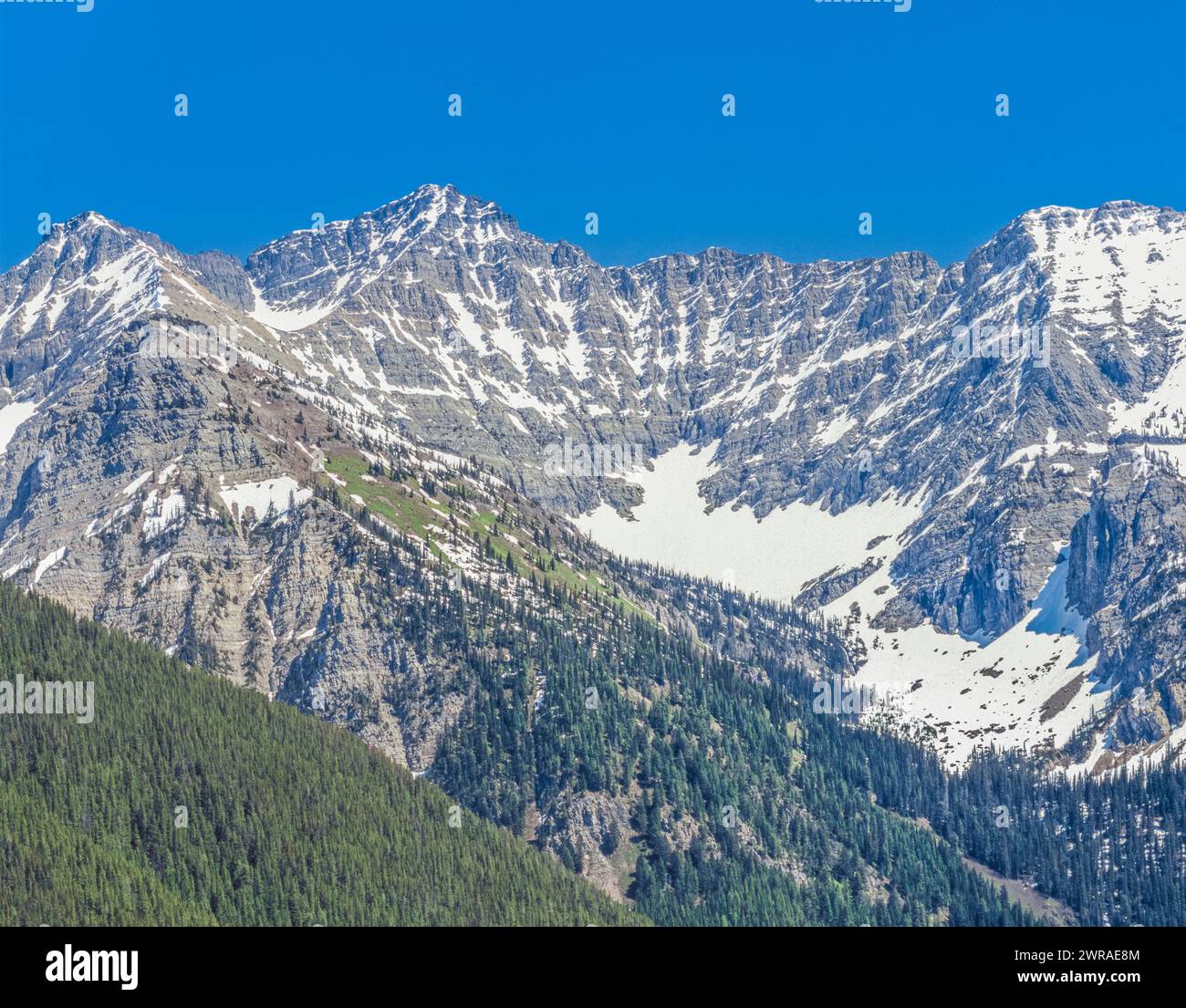 swan peak in the swan range near condon, montana Stock Photo - Alamy